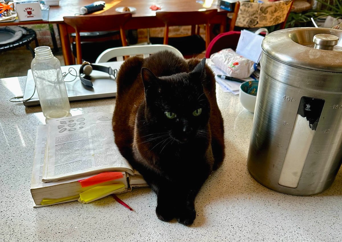 Bea's Memory Game | MLTSHP