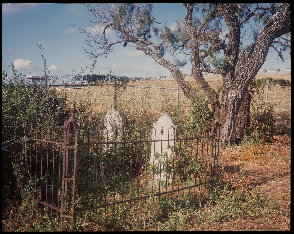 Davidson-Littlepage Cemetery Provia 100 | MLTSHP