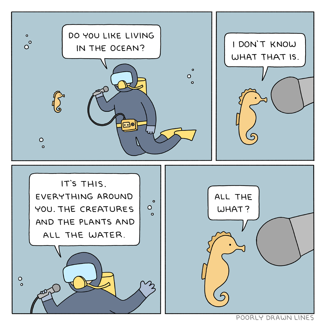In the Ocean | Poorly Drawn Lines | MLTSHP