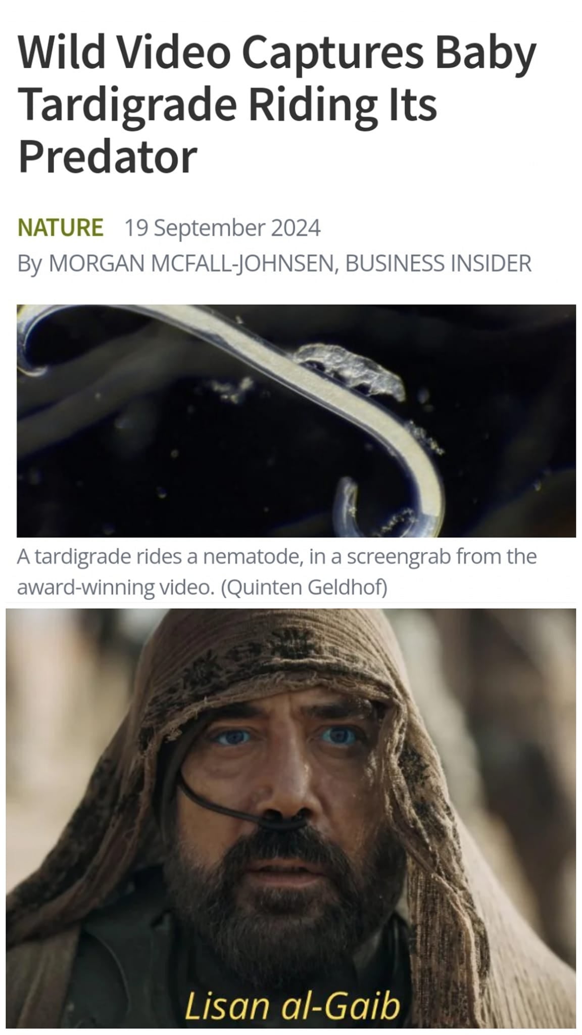 Lisan al-Gaib! | MLTSHP