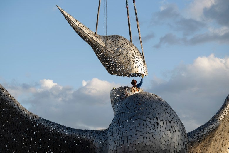 The Loon Comes Together | MLTSHP