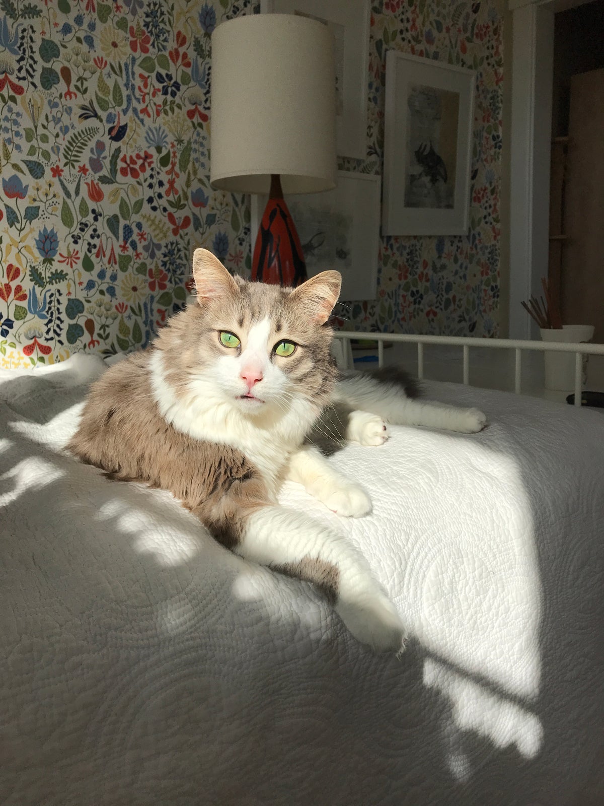 September sun 🌞 | MLTSHP