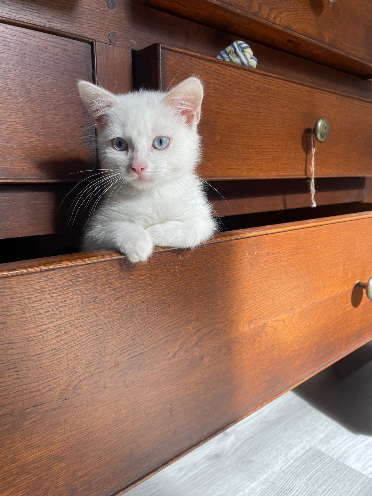 Feeling cute | MLTSHP