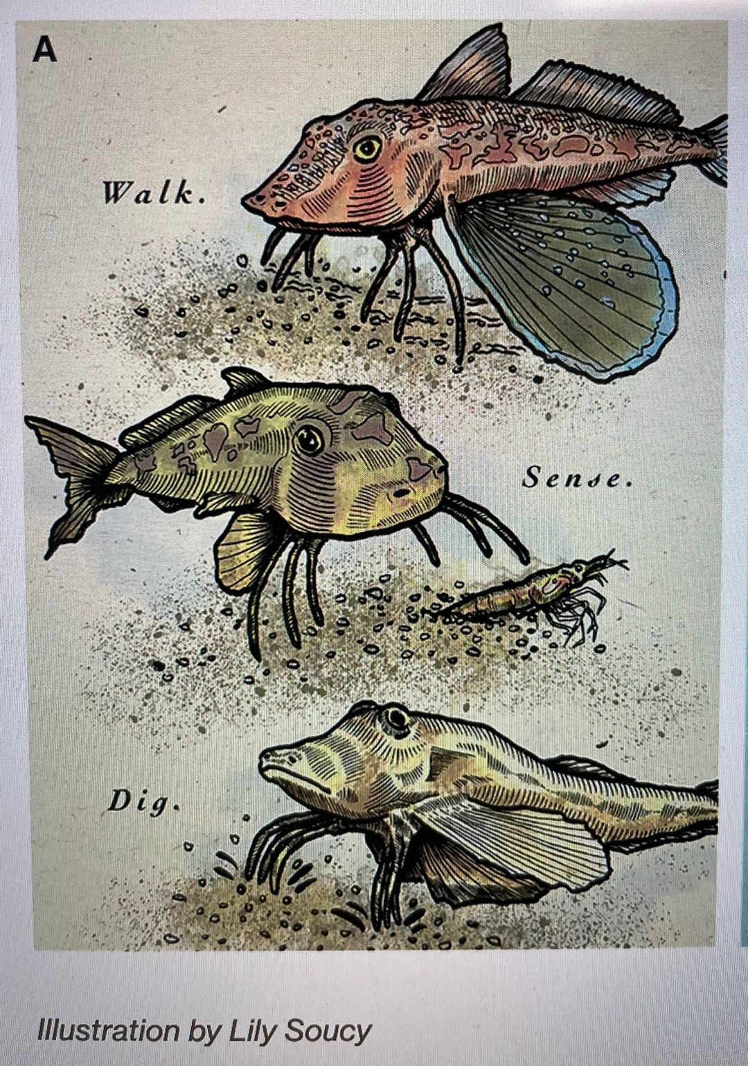 Move over, Live Laugh Love.... | MLTSHP