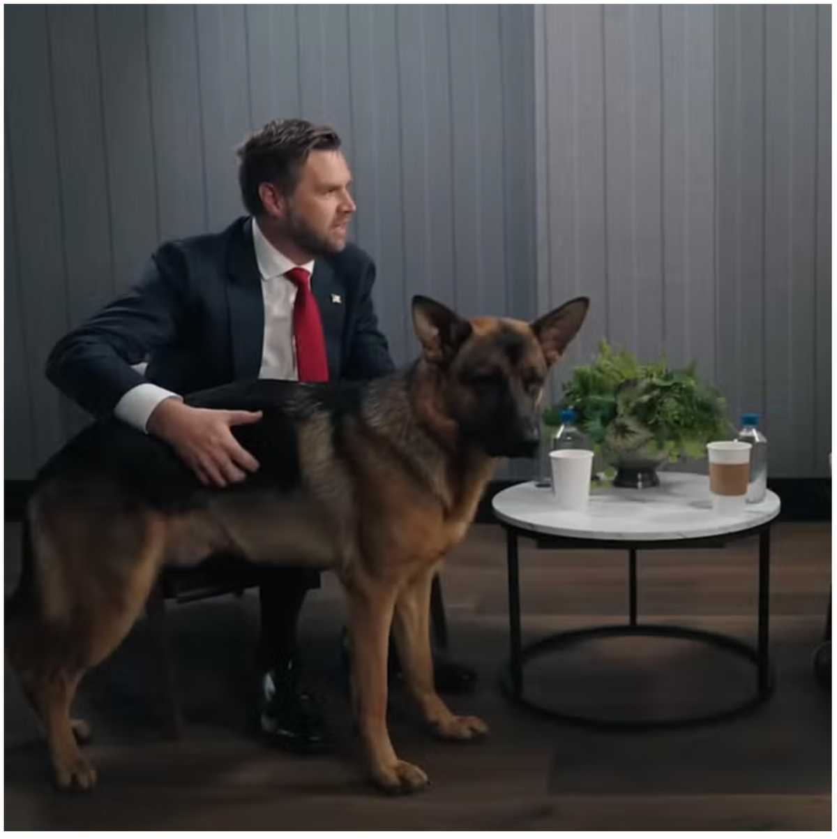 Atlas the Rental Dog | MLTSHP