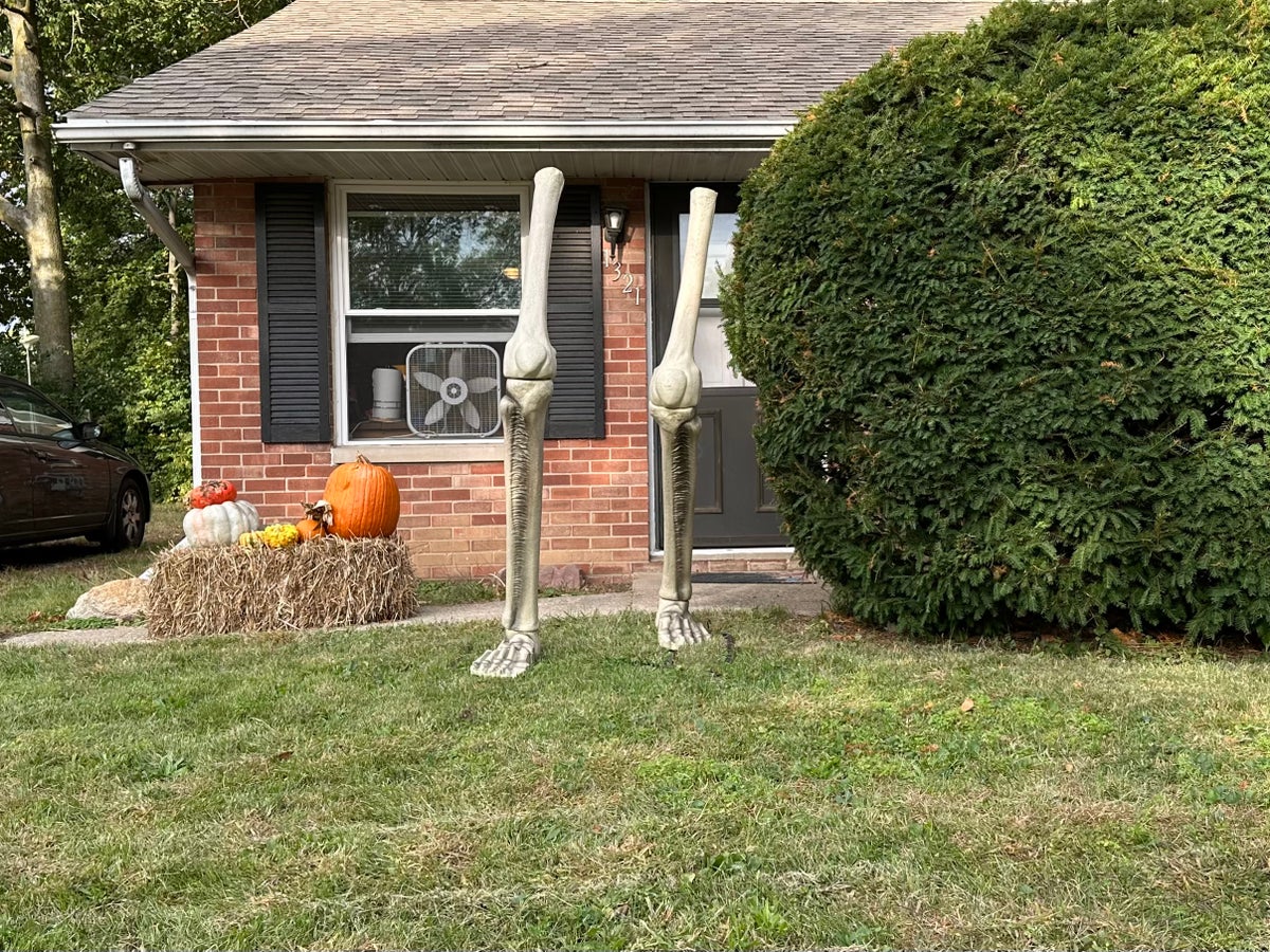 one step at a time, mister skeleton | MLTSHP