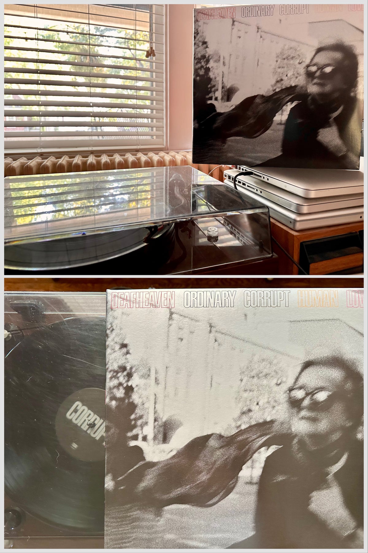 sunday spinning: “ordinary corrupt human love” - deafheaven, 2018 | MLTSHP