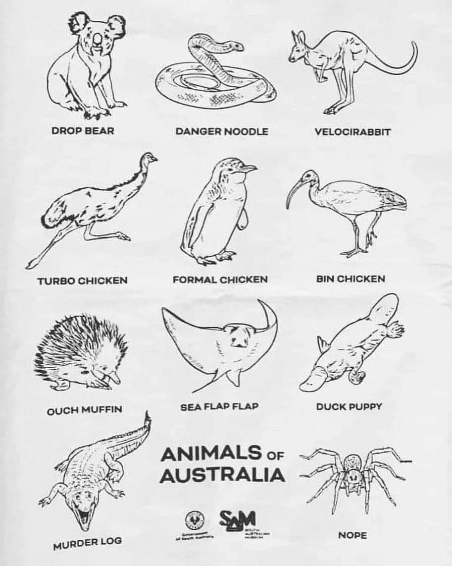 PSA for visitors | MLTSHP