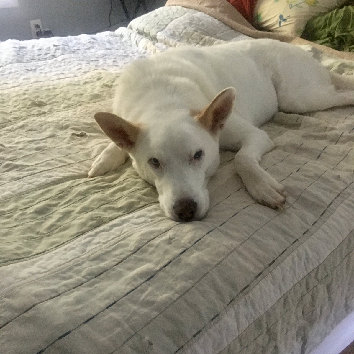 I feel you, bro. | MLTSHP