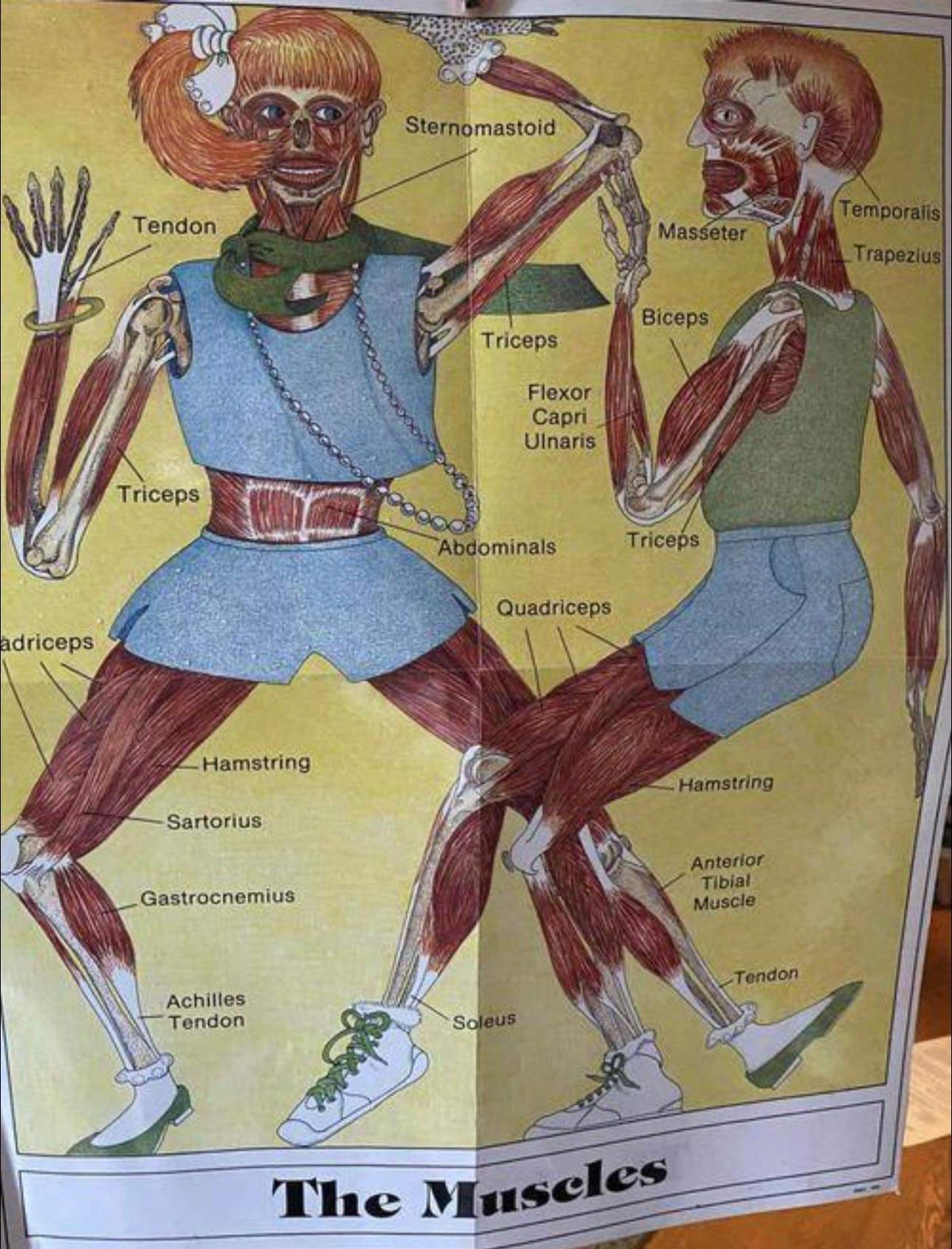 This could be us, but you don't dance | MLTSHP