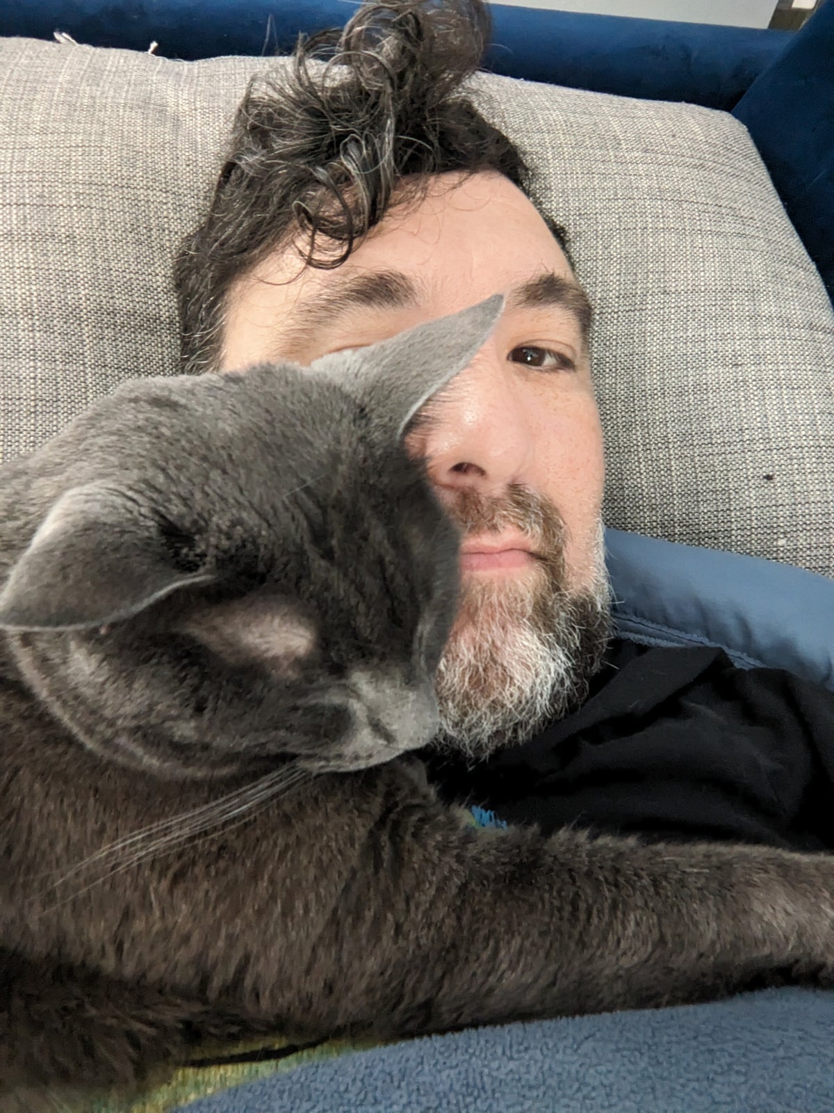 Please get off my face, I need to work | MLTSHP