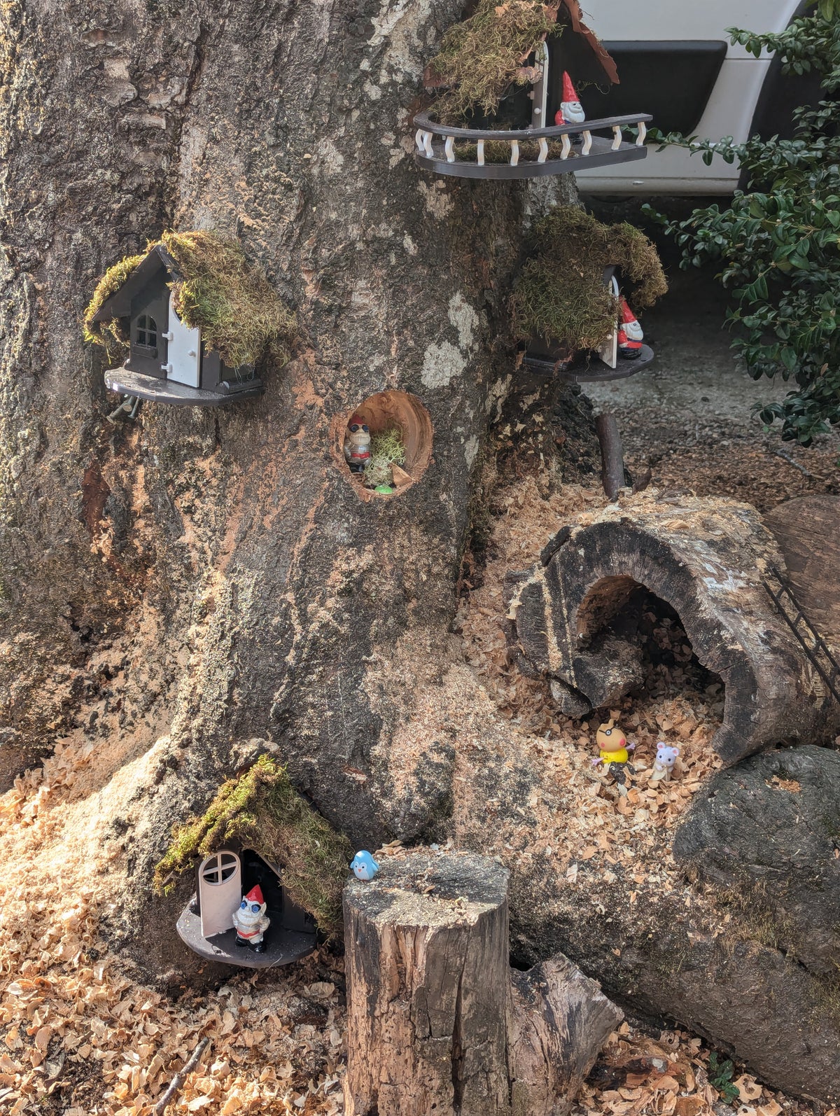 Gnome update | MLTSHP