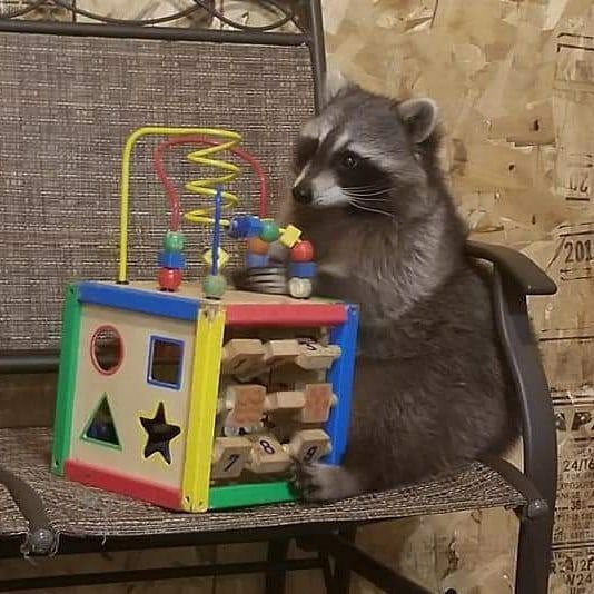 How I work. | MLTSHP