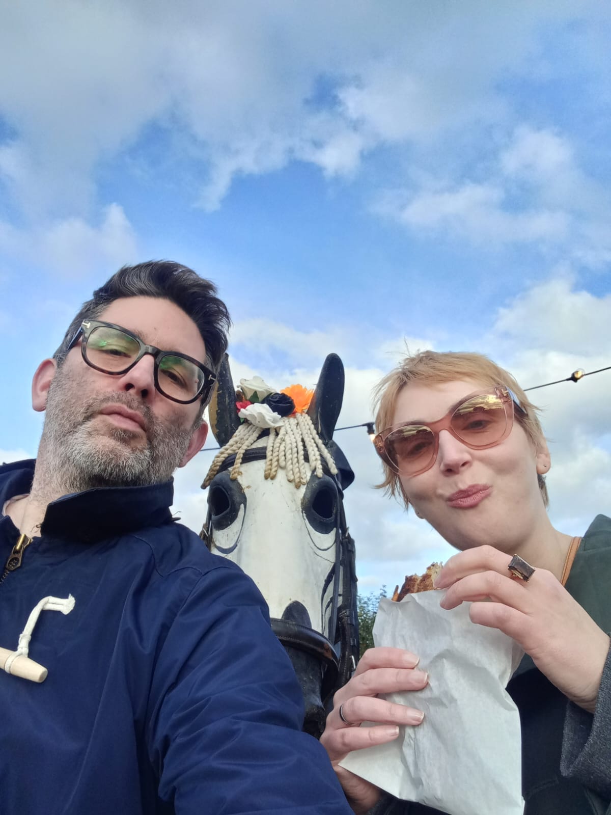 Pumpkin patch | MLTSHP