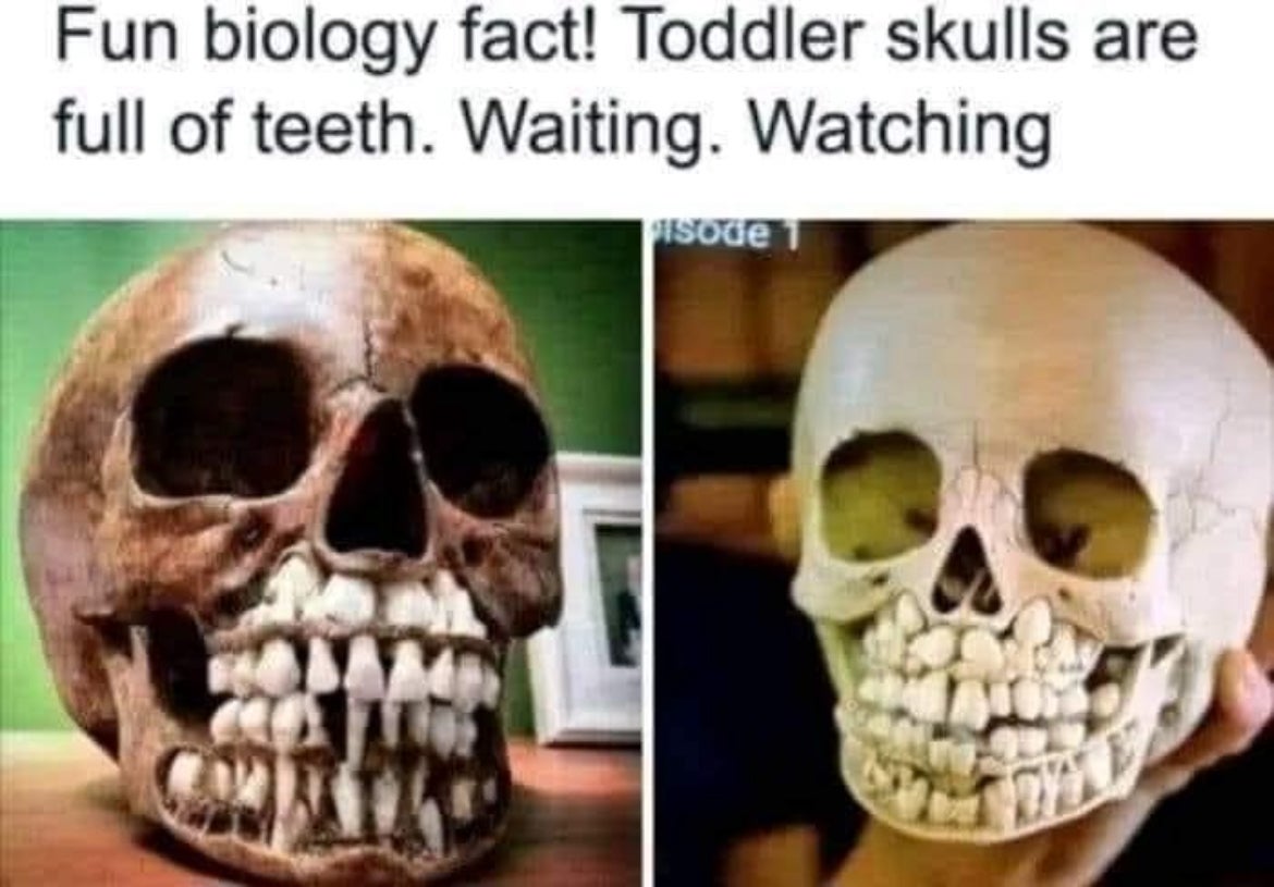 lullabye and good night … | MLTSHP