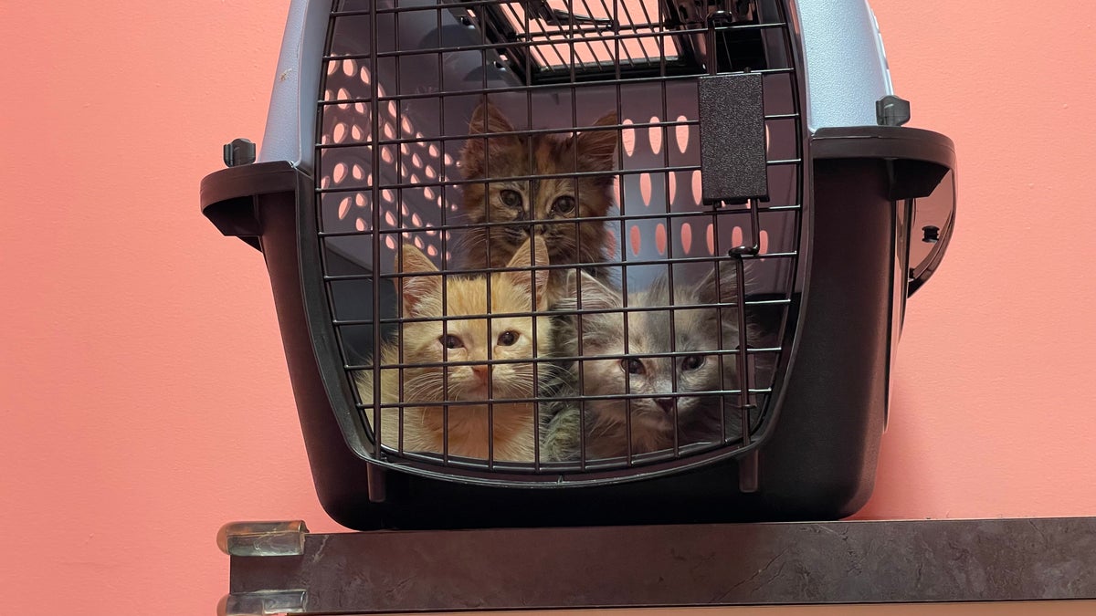 Squad Goals | MLTSHP