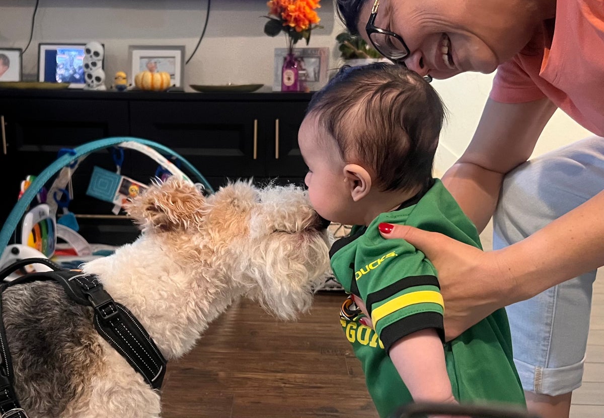 Oh, For No Reason, Why? | MLTSHP