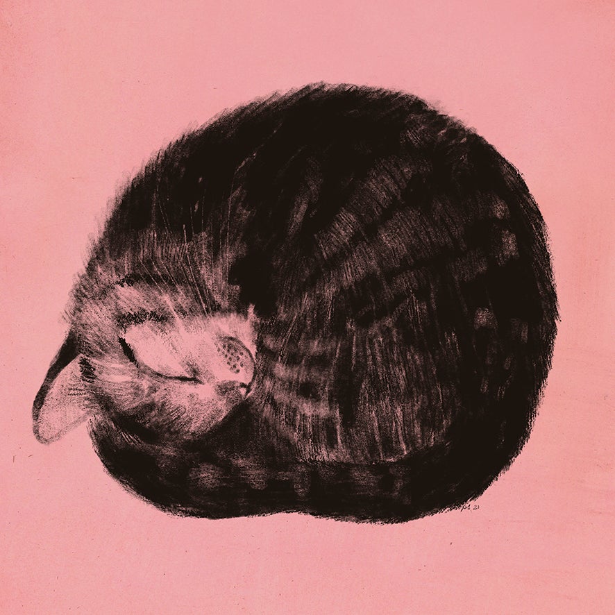 cat by Richard Jones | MLTSHP