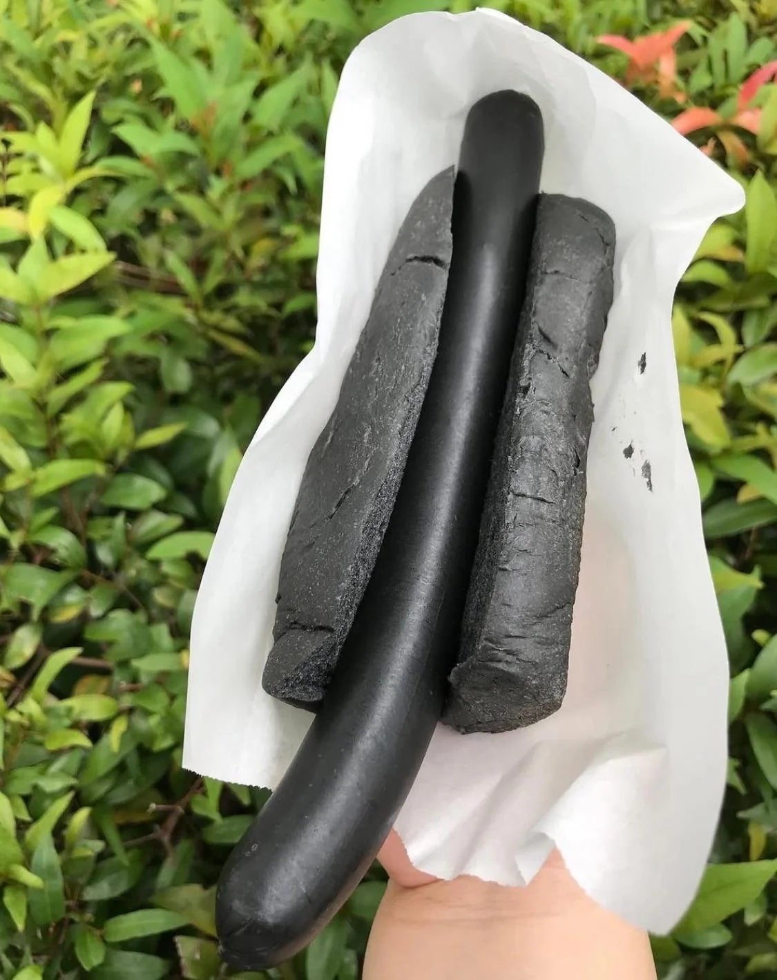 The Ninja Dog | MLTSHP