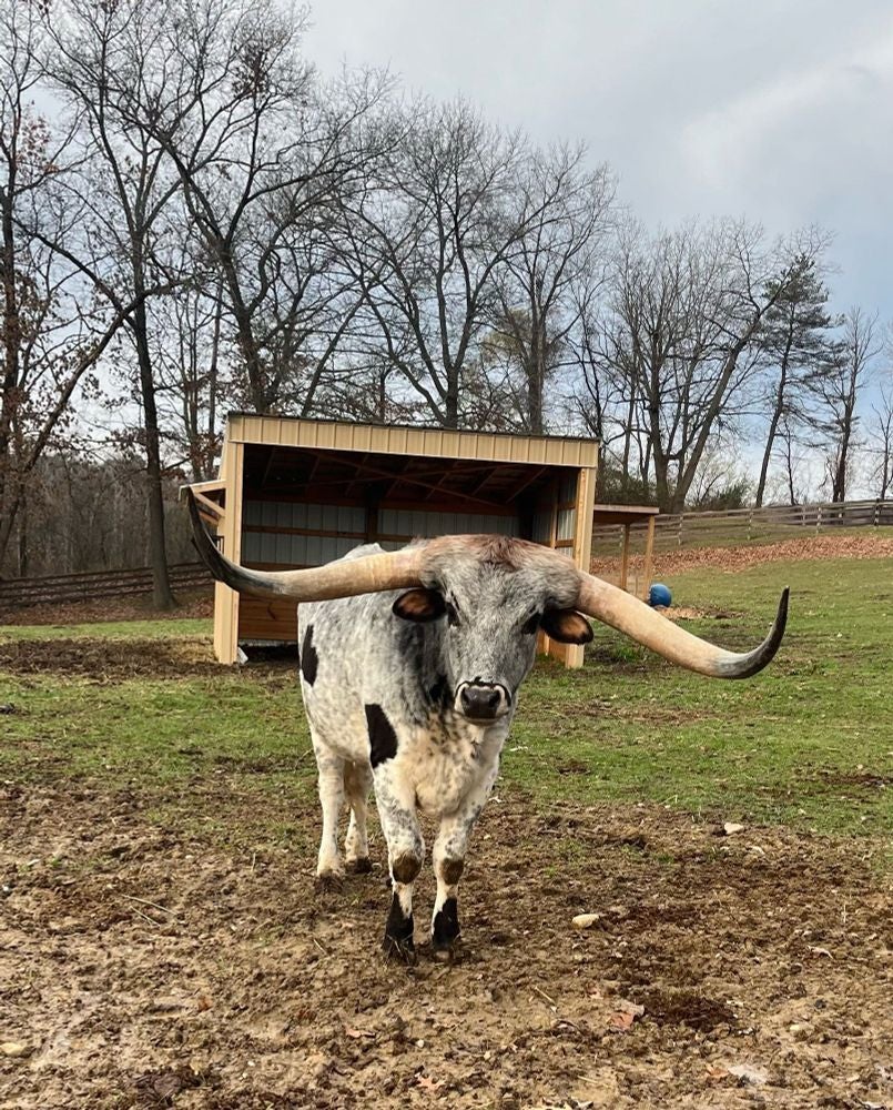 Hello, Luca | MLTSHP