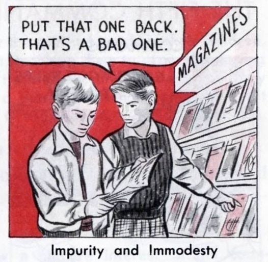 Why look at The Economist when there's Cat Fancier right there? | MLTSHP