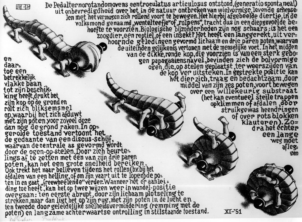 Roly-poly Curl-up by MC Escher | MLTSHP