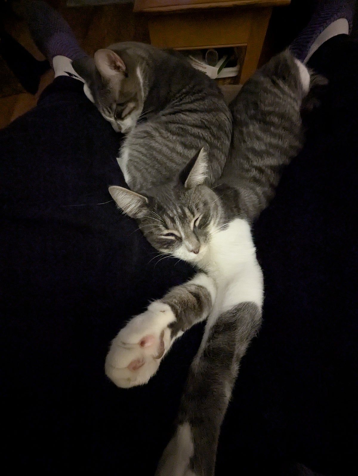 This is me now | MLTSHP