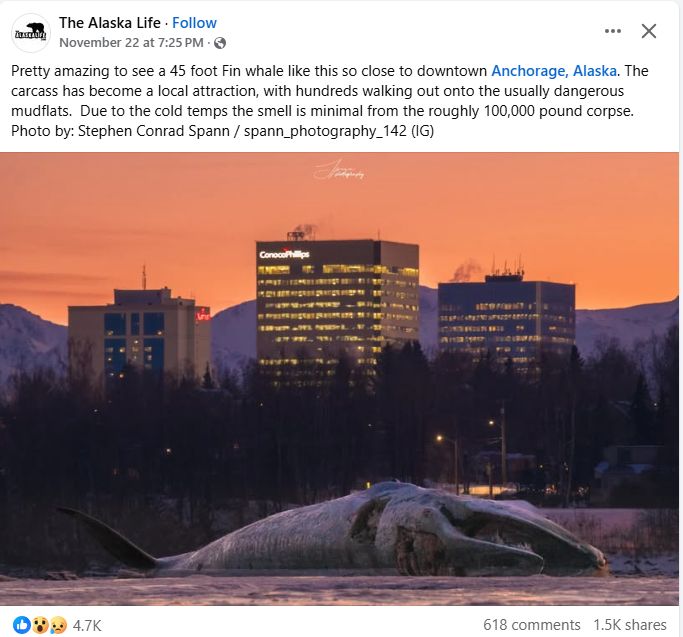 We're all looking for the guy who did this. | MLTSHP