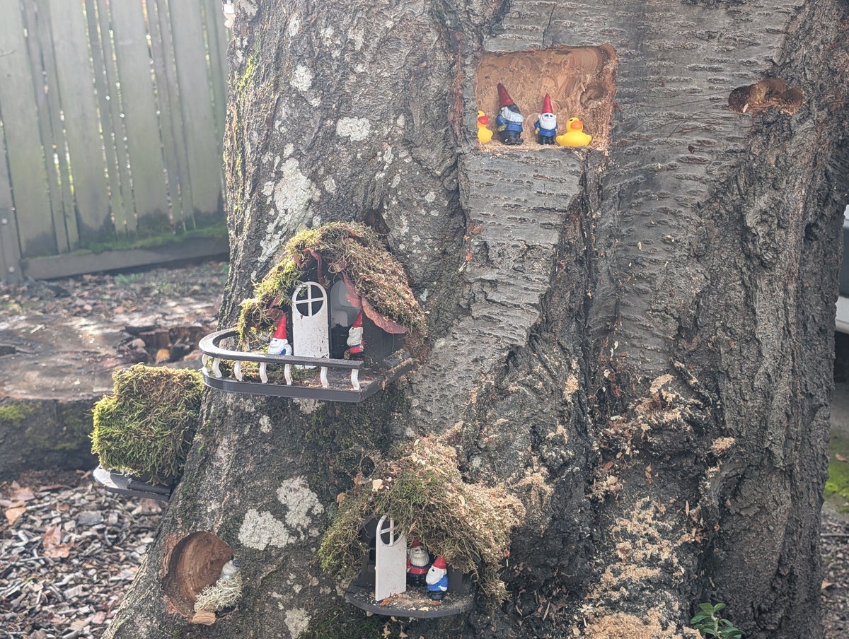 Even more Stump Gnomes | MLTSHP