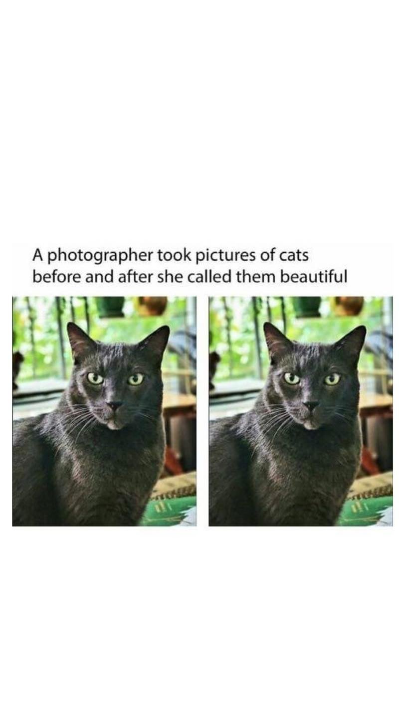 Before and After | MLTSHP