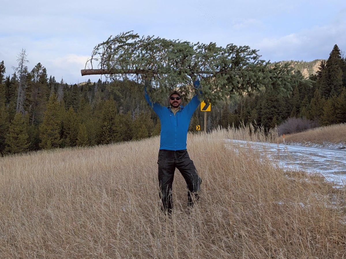 MLTSHPmas 2024 | MLTSHP