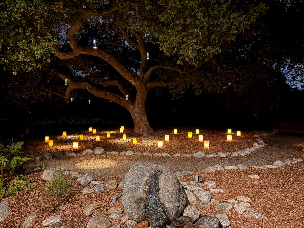California Botanic Garden, at night | MLTSHP