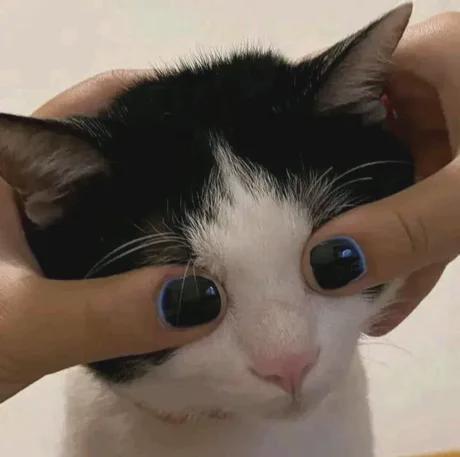 Nailed the look. | MLTSHP