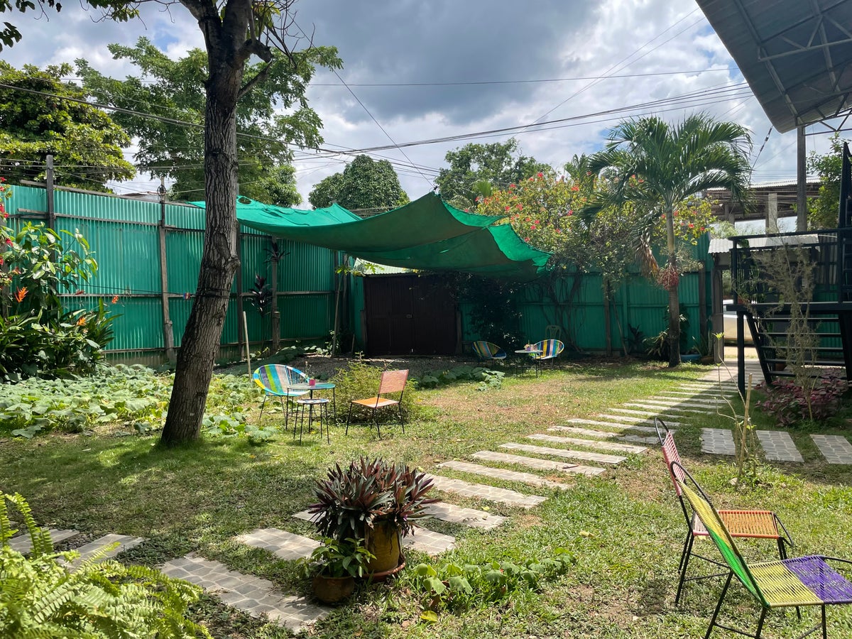 Return to Paradise. | MLTSHP