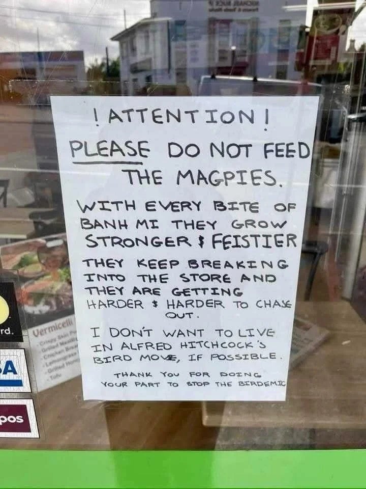 Oddly specific | MLTSHP