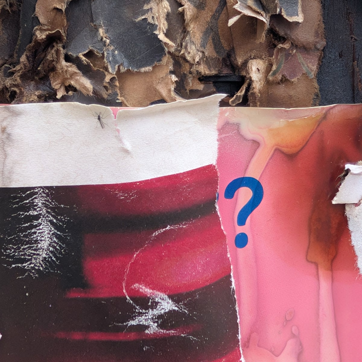 new episode of artwells finds things | MLTSHP