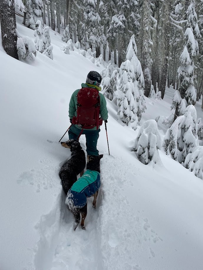 Too impatient to wait, too tired to break trail | MLTSHP