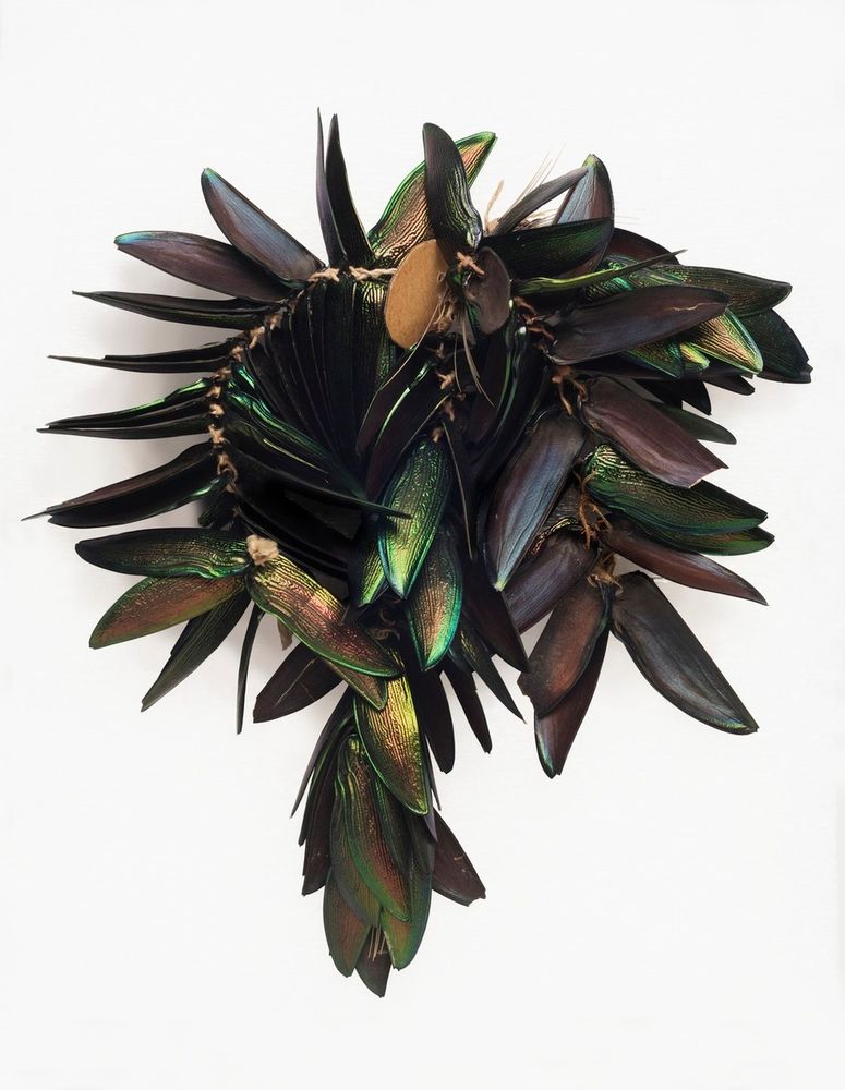 Strands of Beetle-Wing Covers, Possibly Aguaruna; possibly Achuar | MLTSHP