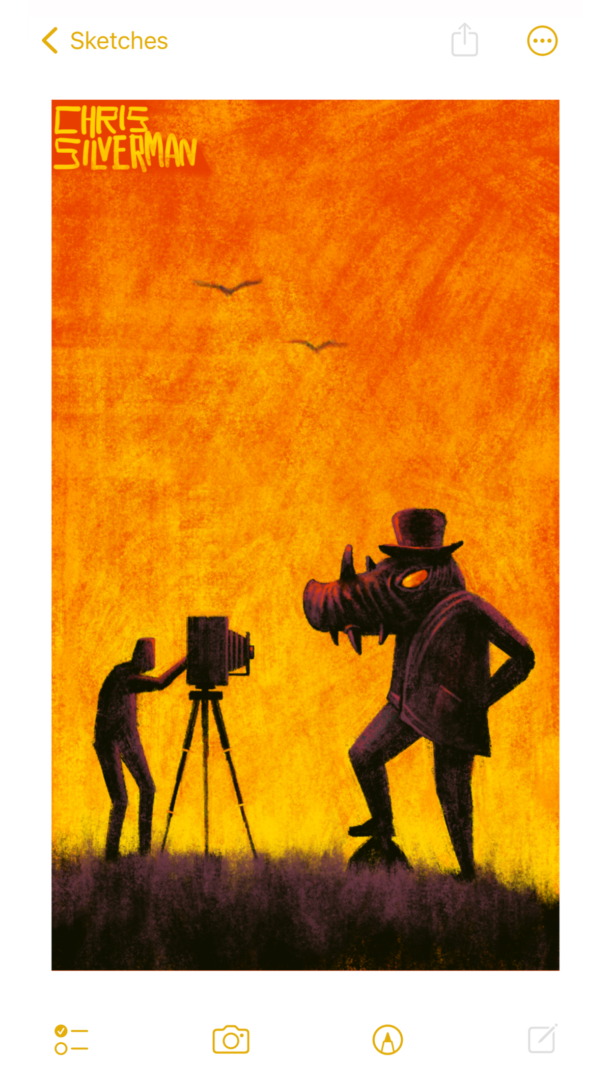 professional portrait | MLTSHP