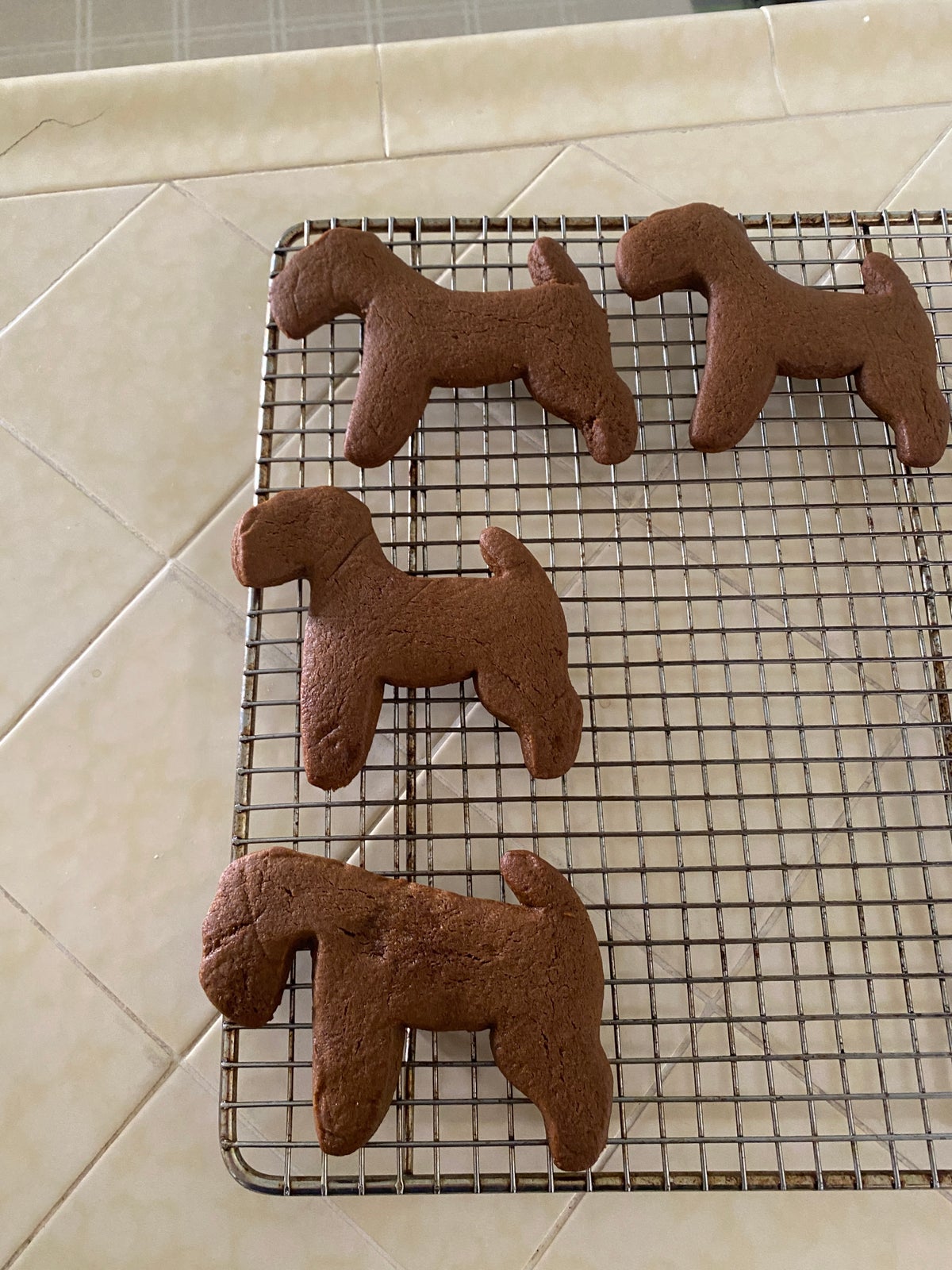 Gingerbread Dogs | MLTSHP