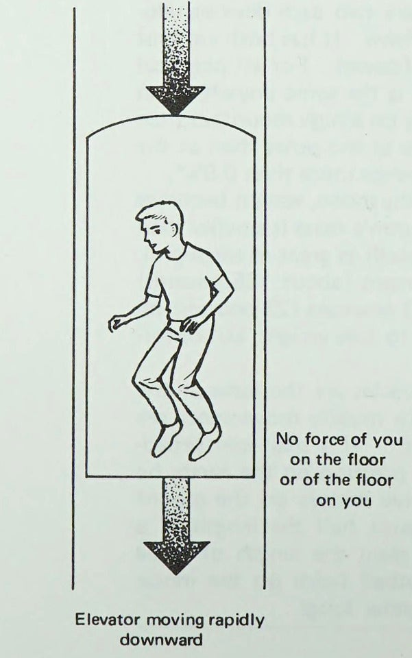 into 2025 like | MLTSHP