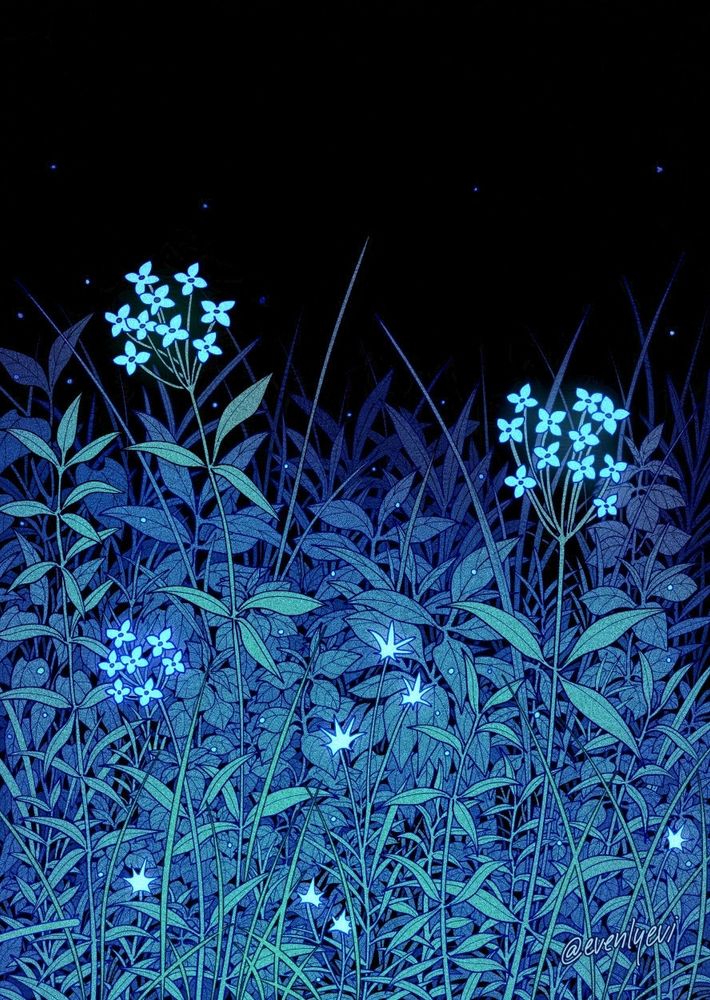 flowers at night by evenlyevi | MLTSHP