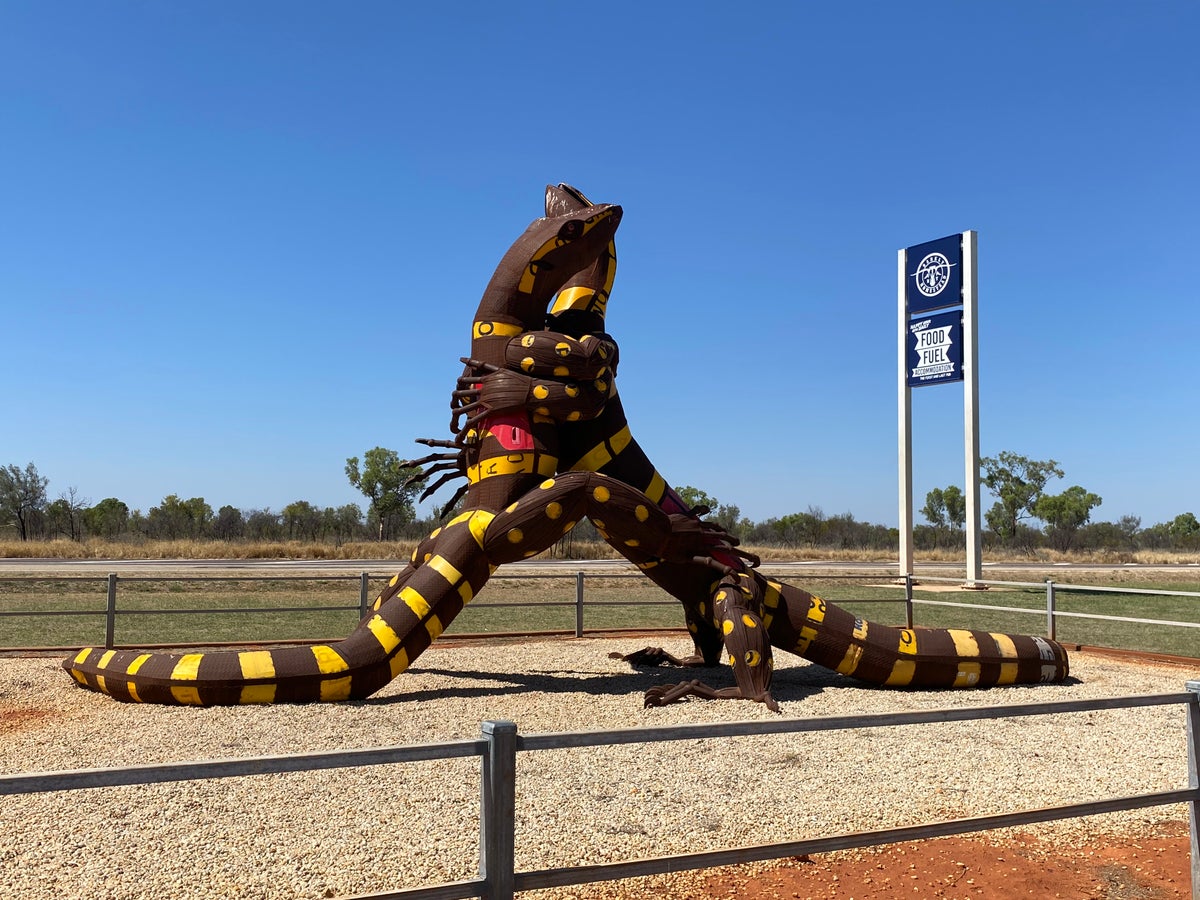 The Big Fighting Goannas | MLTSHP