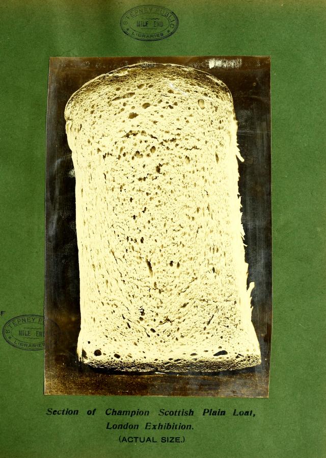 Section of Champion Scottish Plain Loaf | MLTSHP