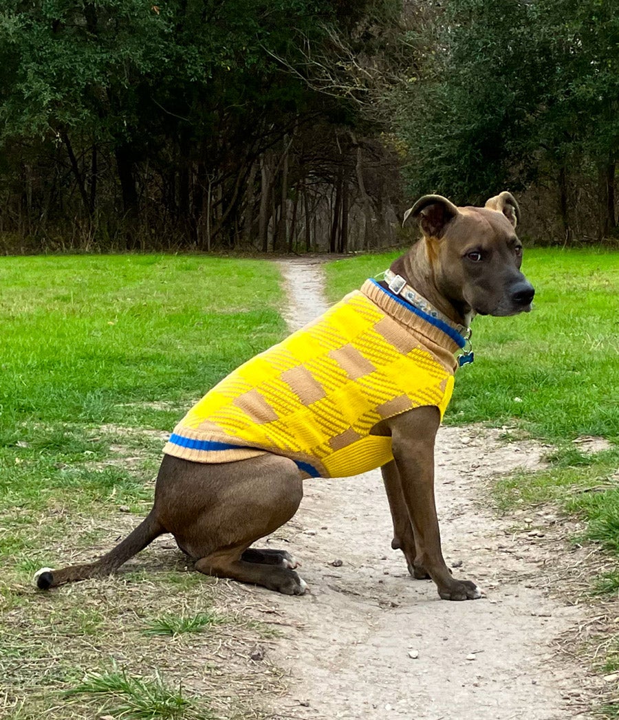 Lollipop sweater season 1 | MLTSHP