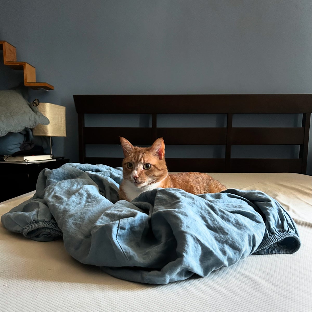 Changing the sheets? | MLTSHP