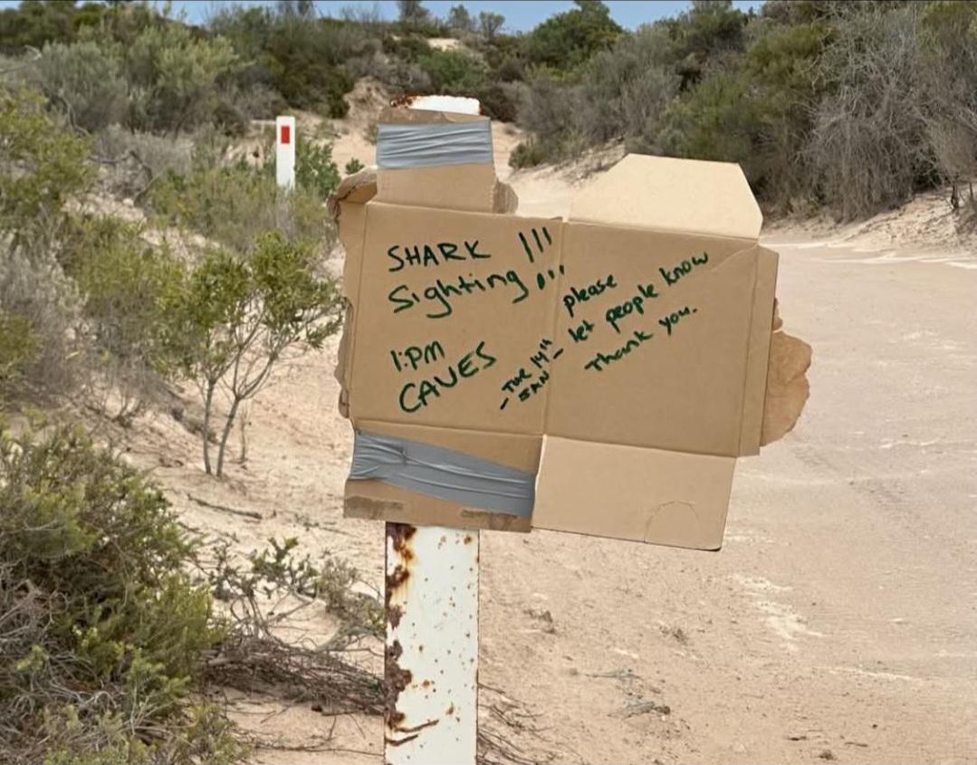 Just Straya Things... | MLTSHP