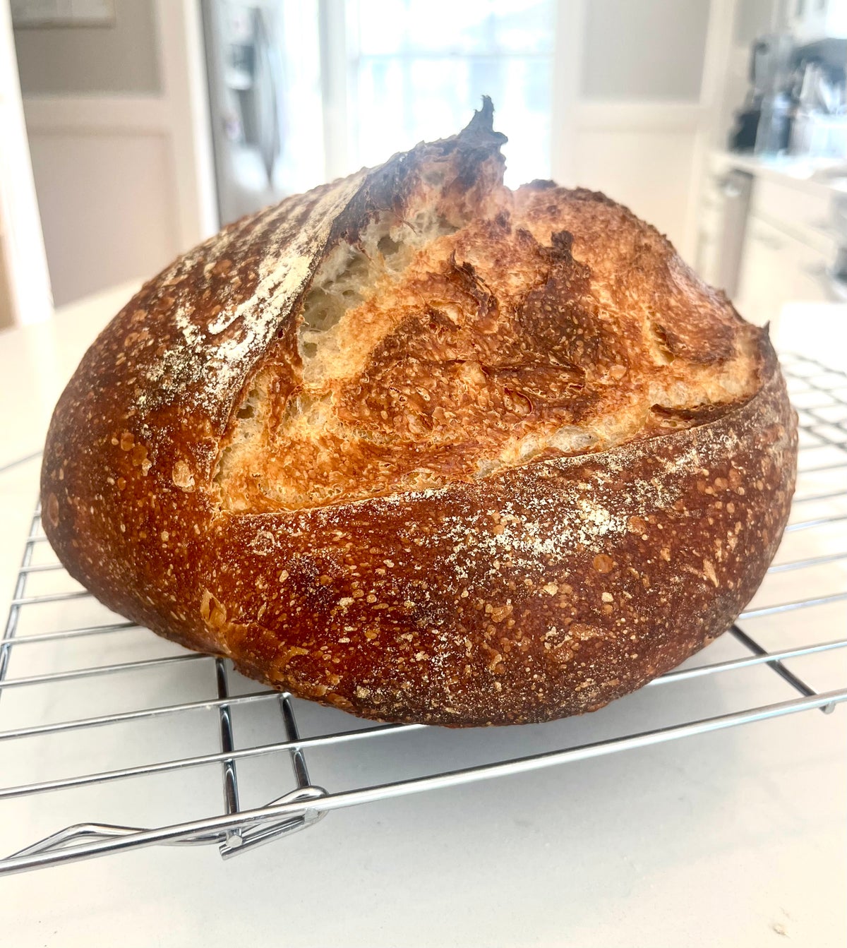 Today’s loaf | MLTSHP