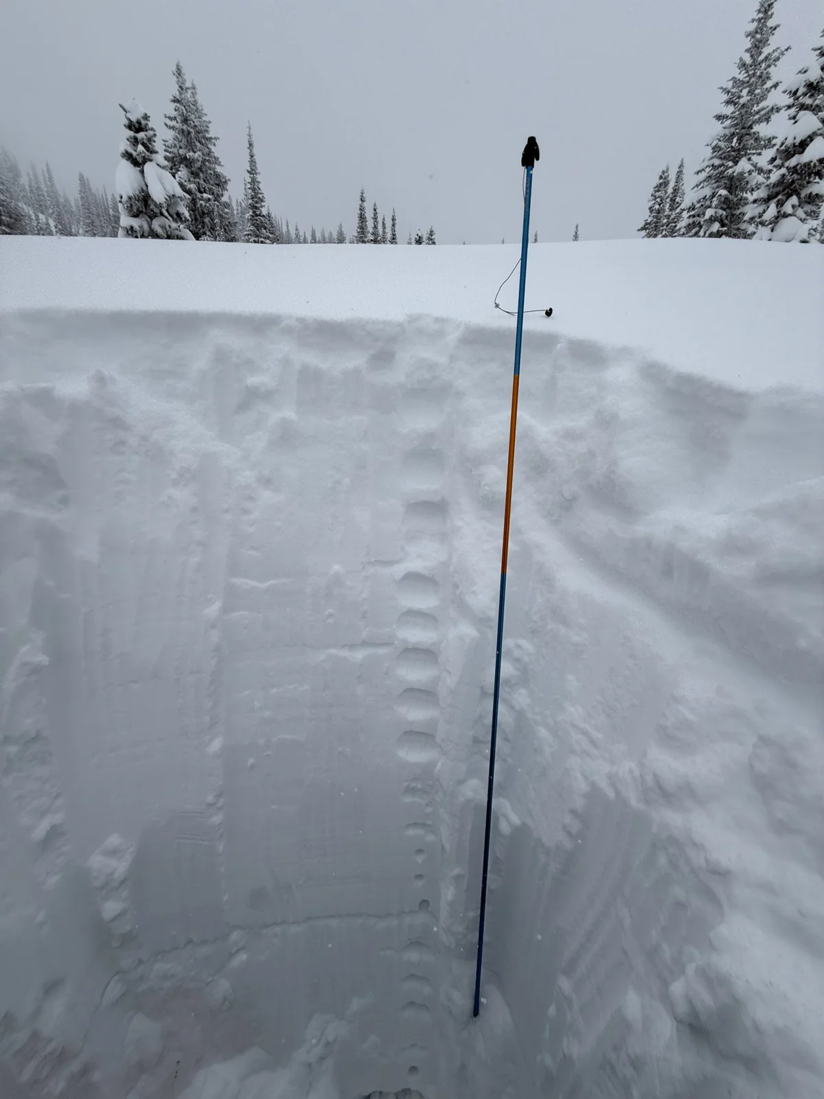 guess what took out my internet | MLTSHP