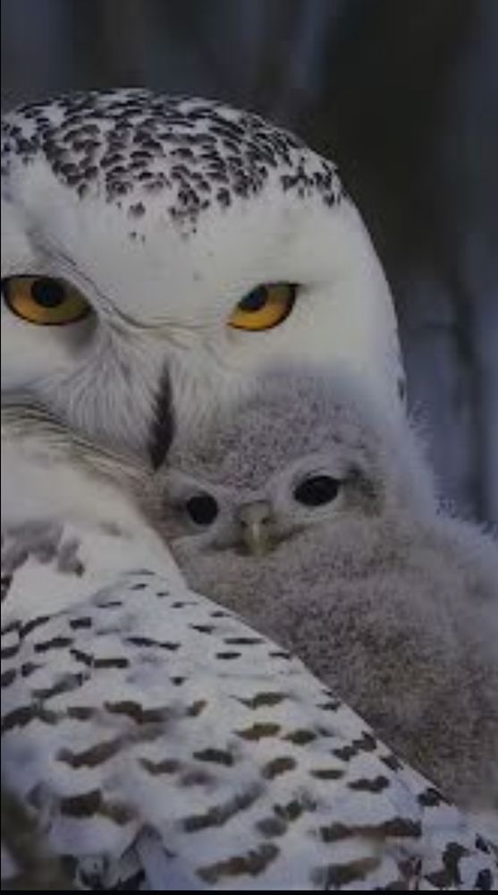 This Family Photo | MLTSHP